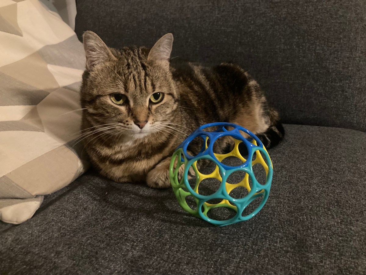 Volevo essere un illustratore di vestiti per neonati | Inchiostro Simpatico